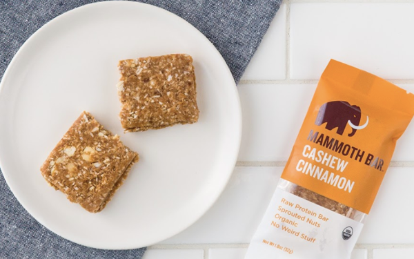 The Gigantic Strides Behind Mammoth Bar – Byte Foods :: Fresh ...