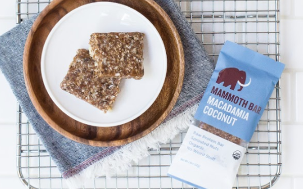 The Gigantic Strides Behind Mammoth Bar – Byte Foods :: Fresh ...